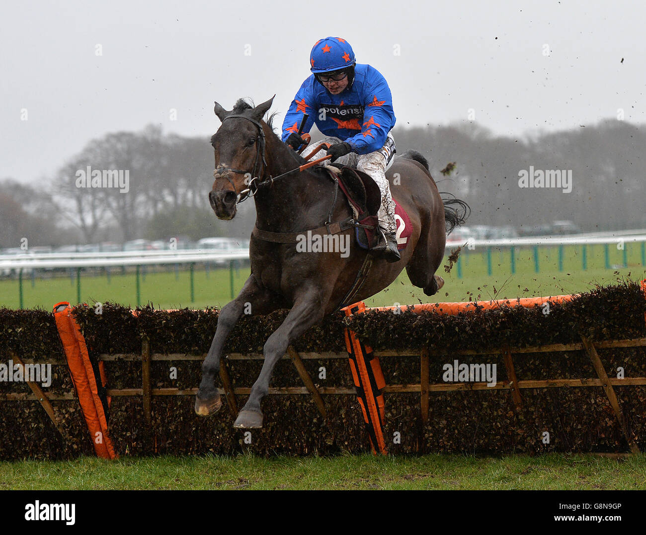 Victor ludorum horse hi-res stock photography and images - Alamy