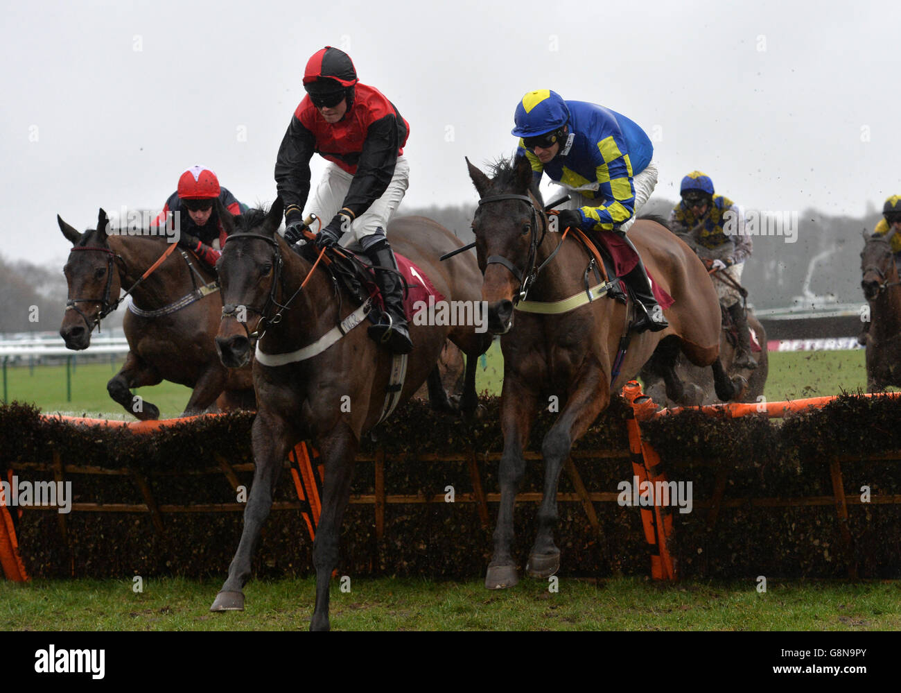 Haydock Races High Resolution Stock Photography and Images - Alamy