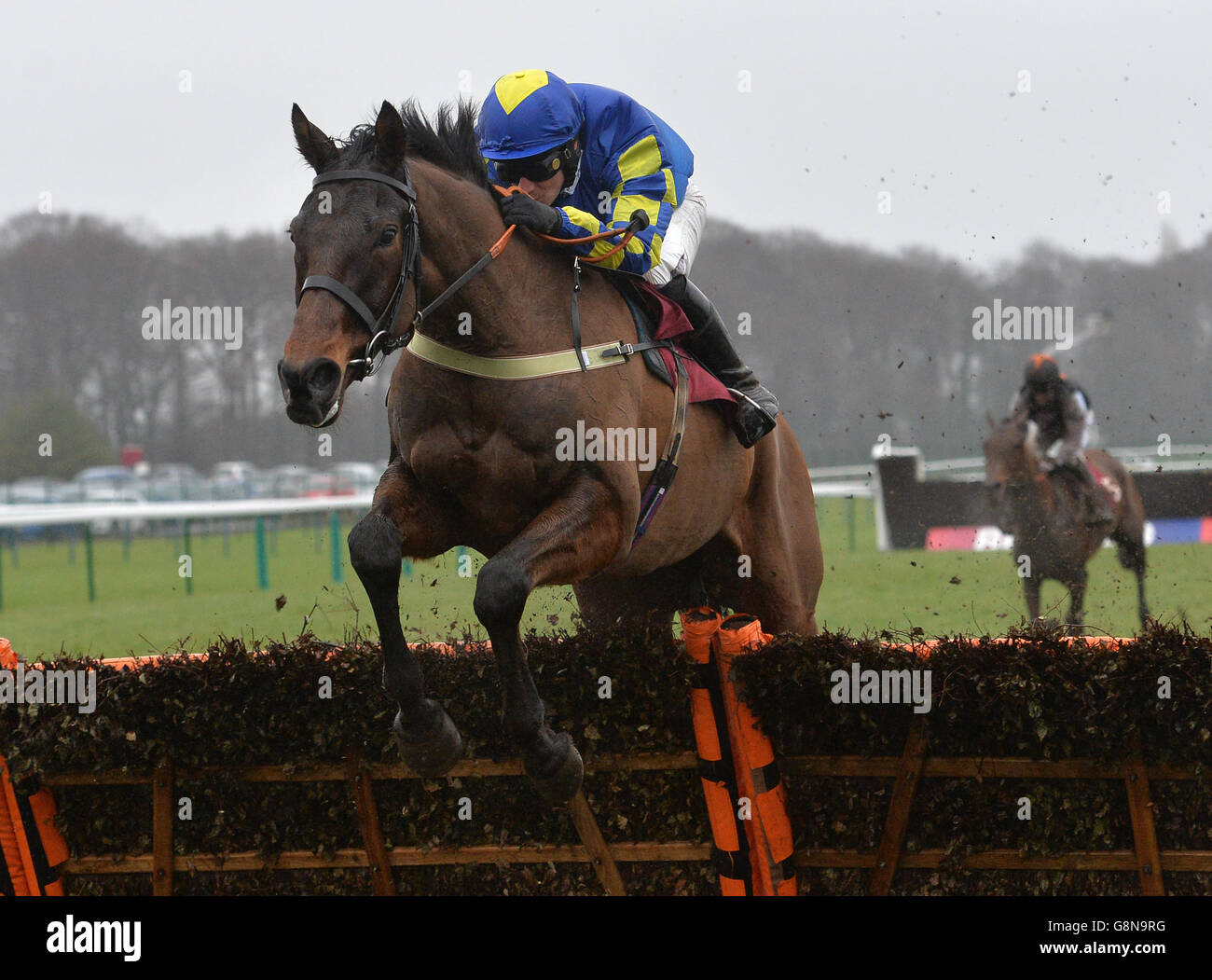 Haydock Races High Resolution Stock Photography and Images - Alamy