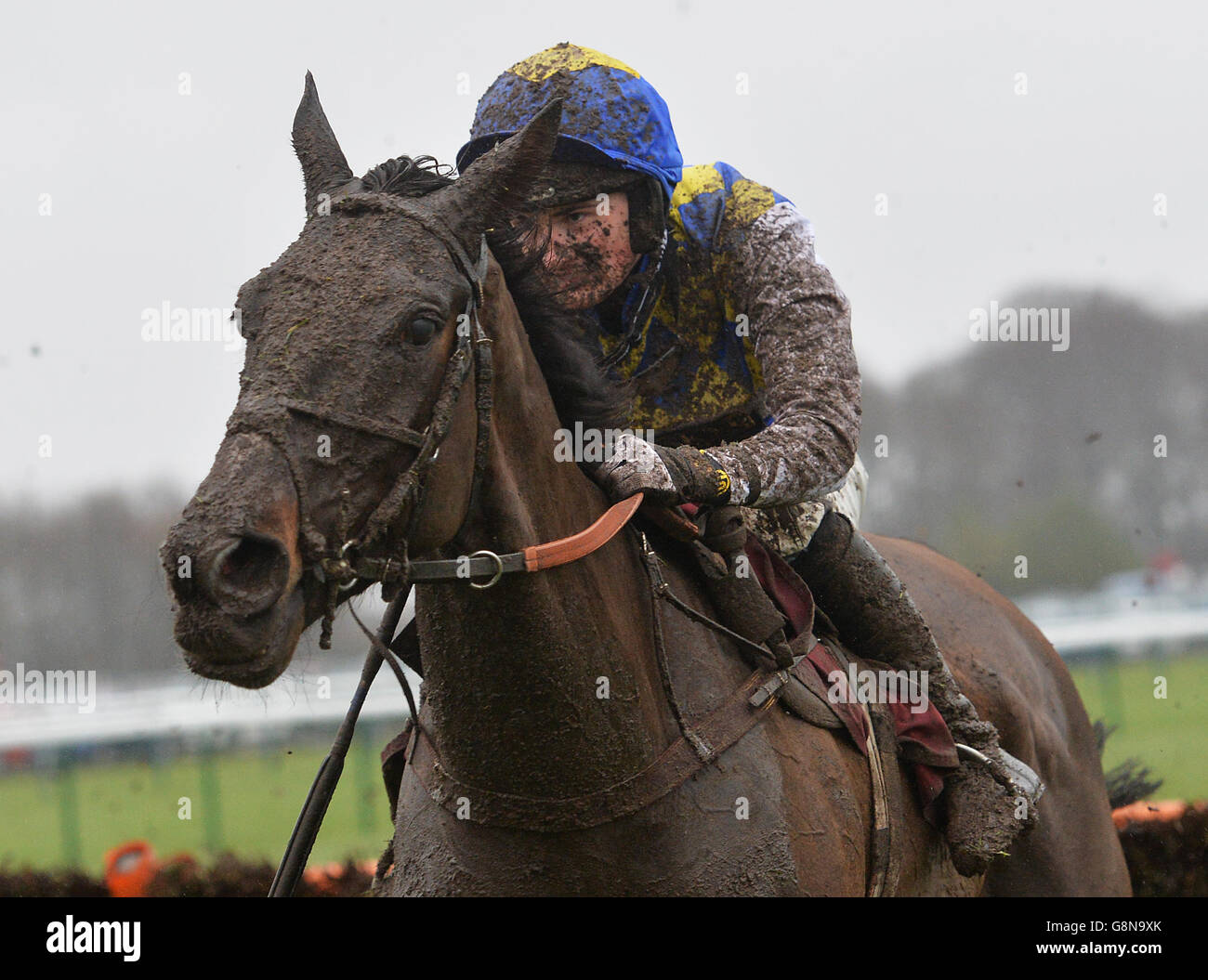 Tradewinds and jockey Grant Cockburn are covered in mud in the heavy ...