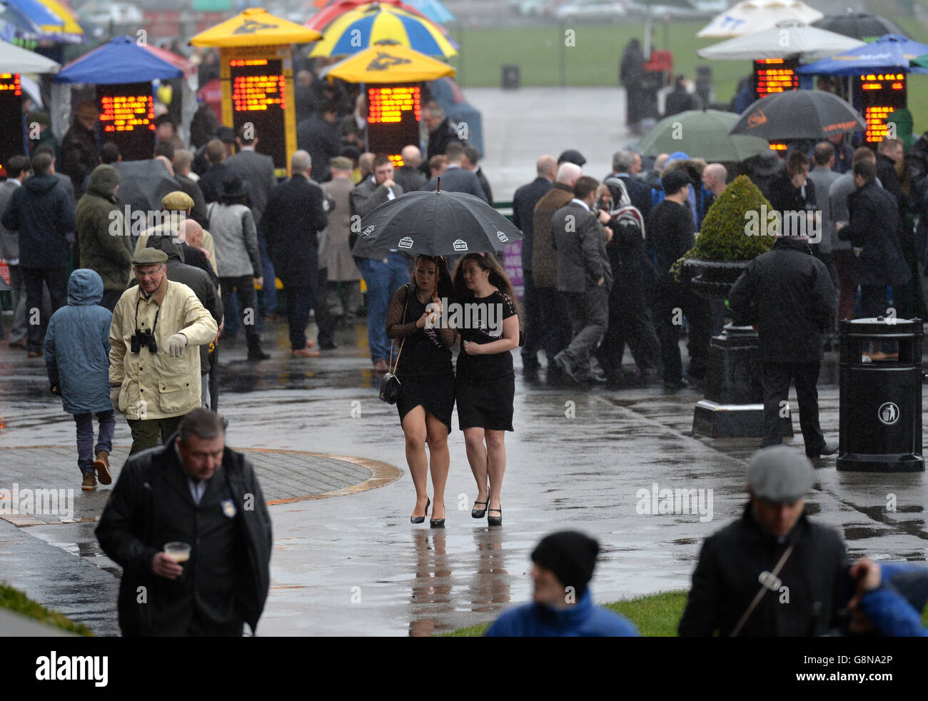 Haydock Races High Resolution Stock Photography and Images - Alamy