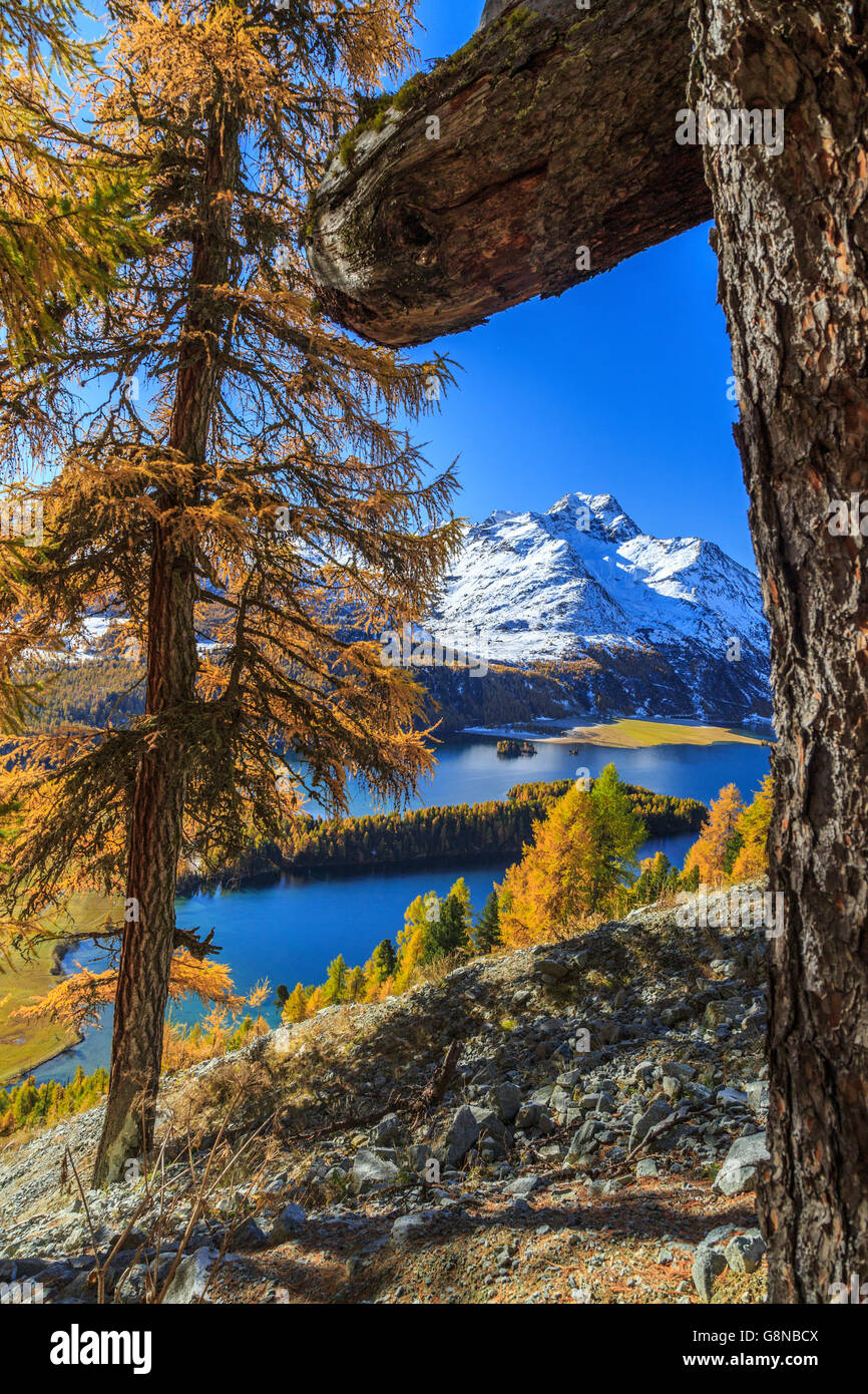 Sils engadin hi-res stock photography and images - Alamy