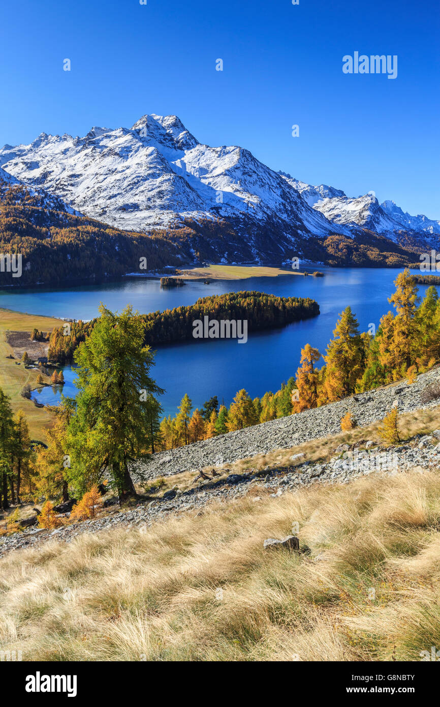 Autumn colors in engadin hi-res stock photography and images - Alamy