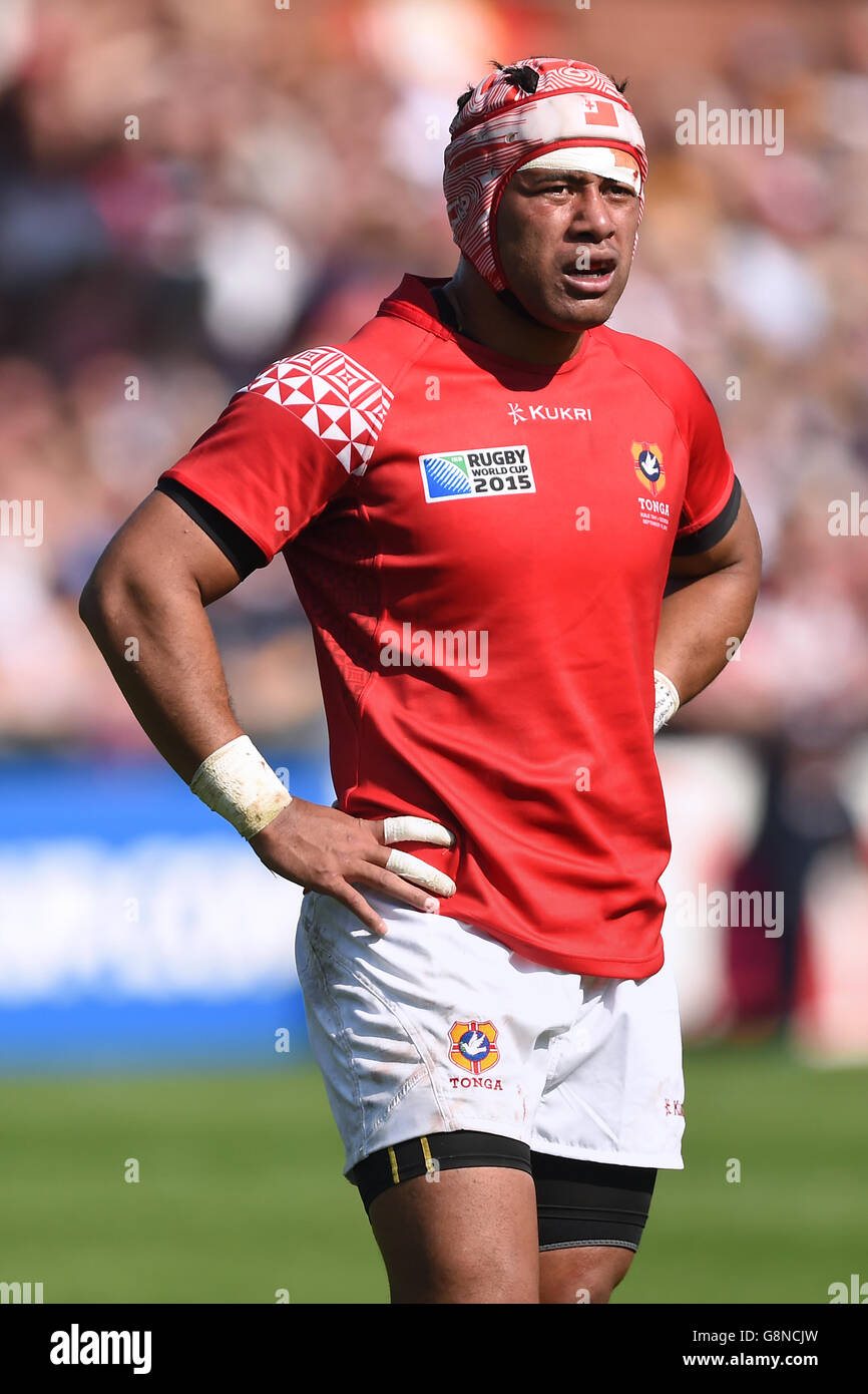 Siale piutau tonga hi-res stock photography and images - Alamy