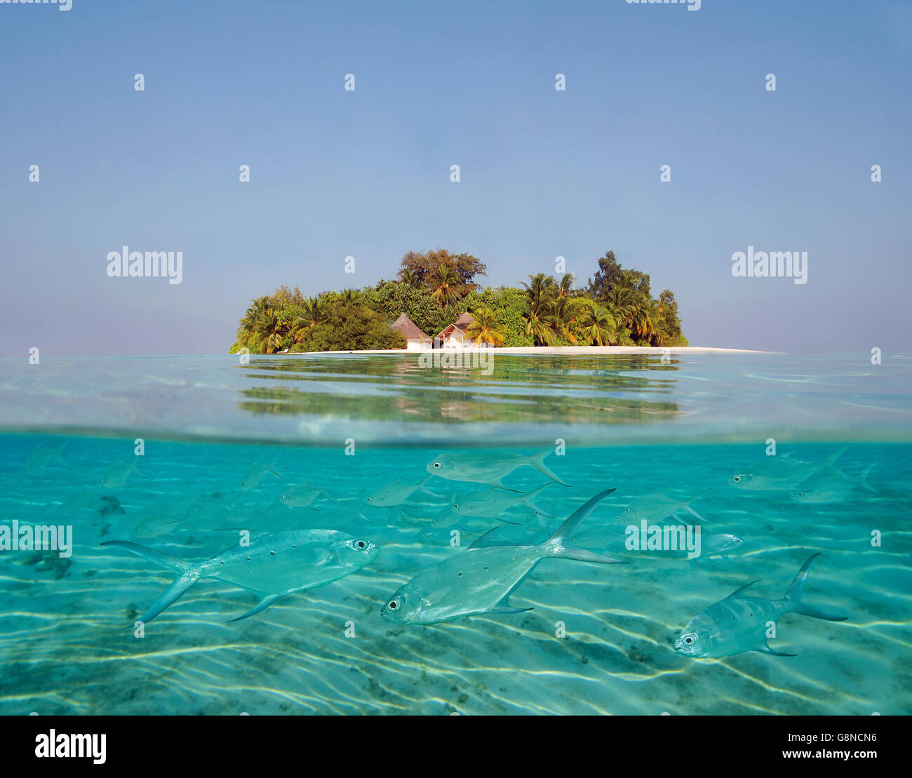 Half underwater view of an Island in the Maldives Stock Photo - Alamy