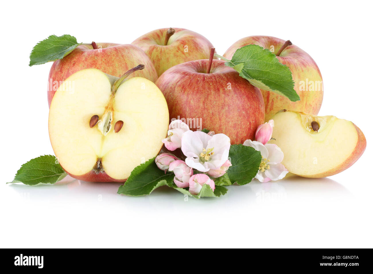 Apples apple fruit fruits slice sliced half isolated on a white ...
