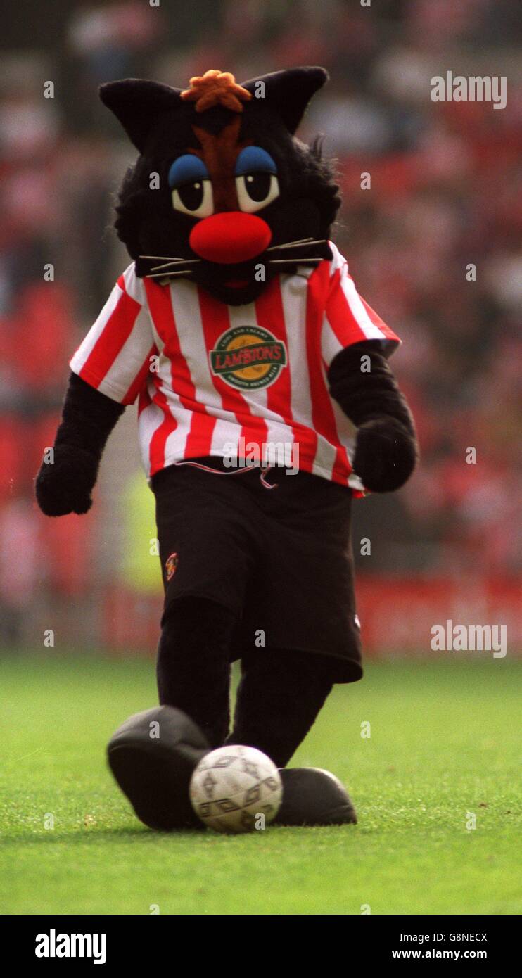 Samson the cat the sunderland mascot hi-res stock photography and ...