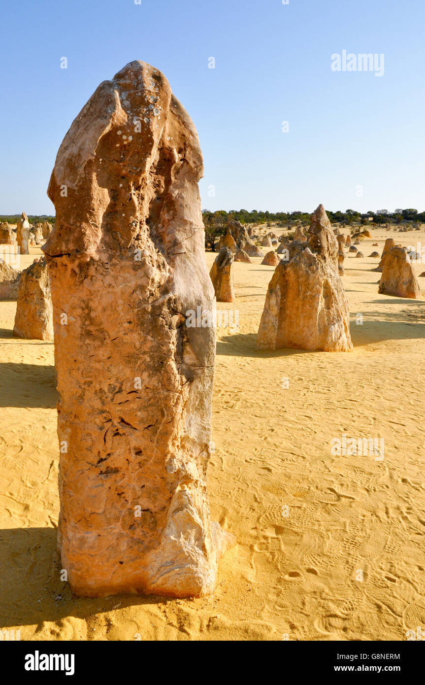 Unique limestone rock formations rising up out of the sand in the ...