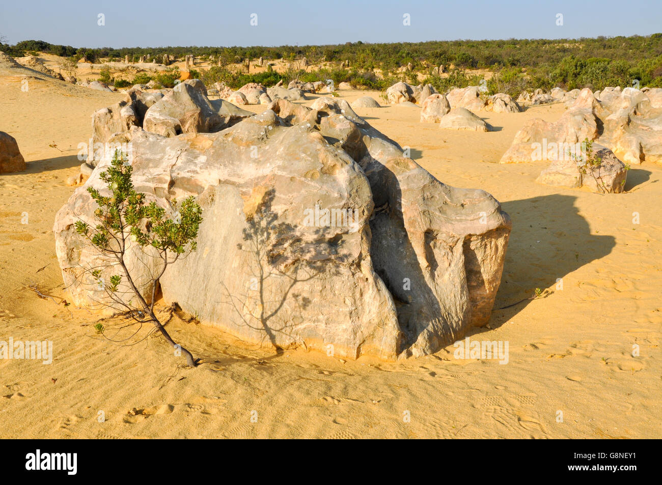 Unique limestone rock formations rising up out of the sand in the ...