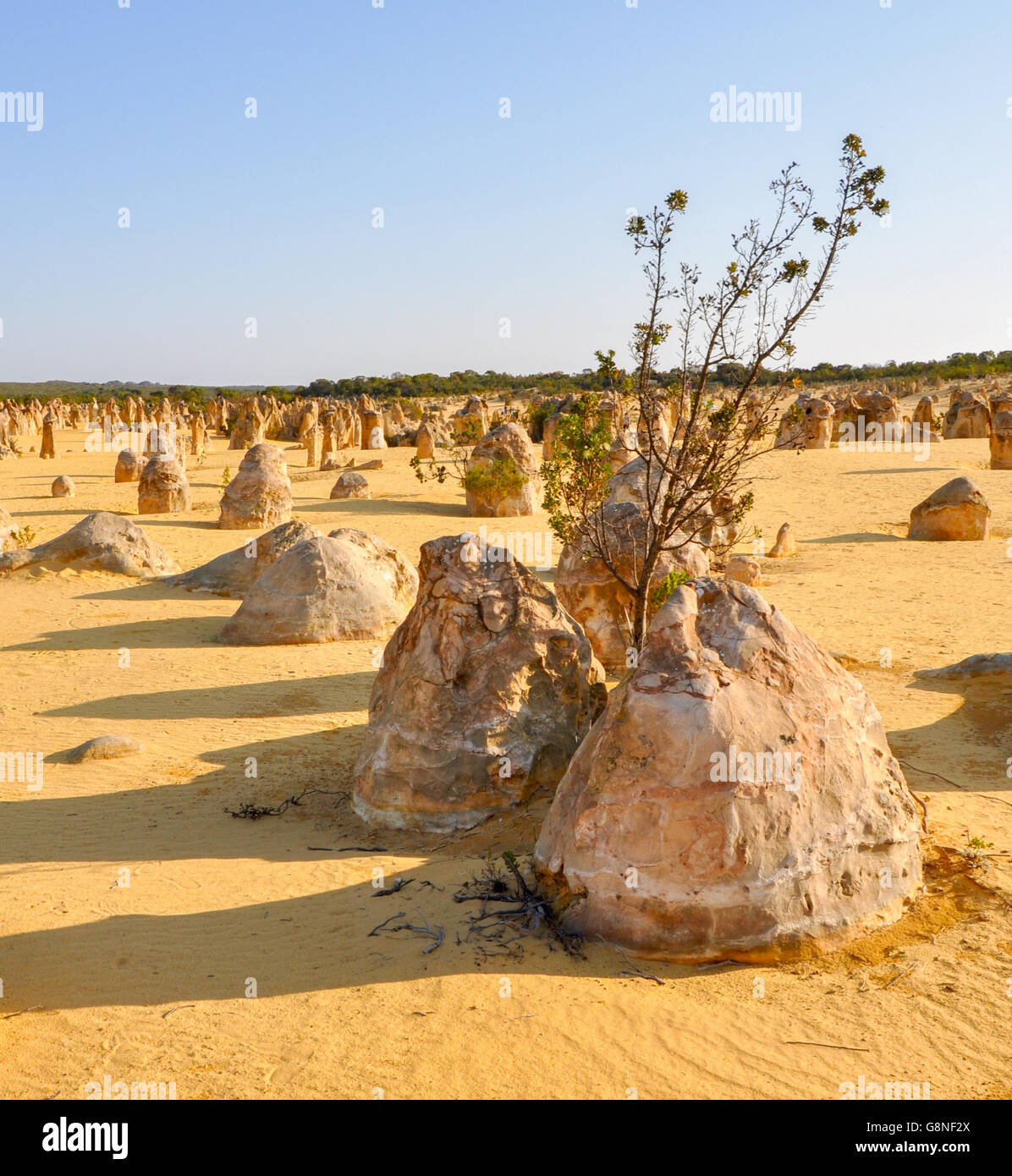 Unique limestone rock formations rising up out of the sand in the ...