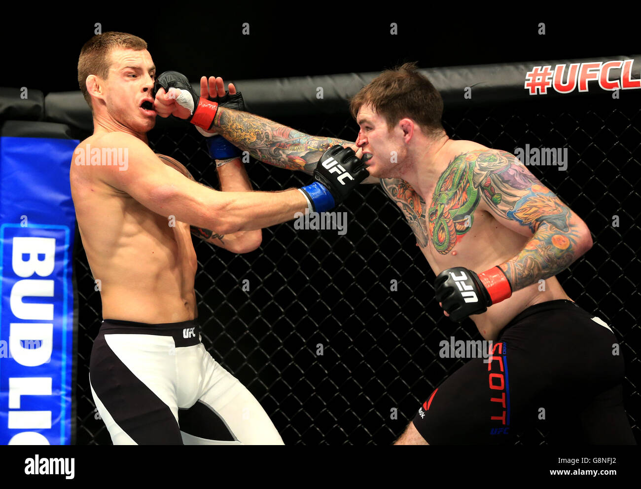UFC Fight Night 84 - 02 Arena Stock Photo - Alamy