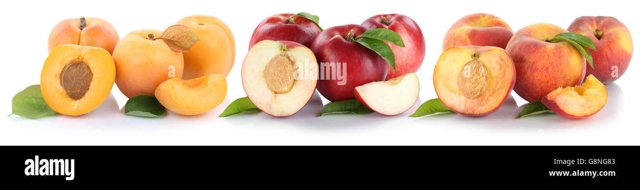 Peach nectarine apricot peaches nectarines slice half fruit fresh ...