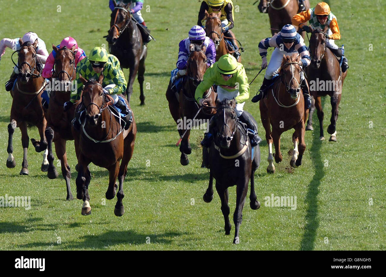 Roscommon racecourse hi-res stock photography and images - Alamy