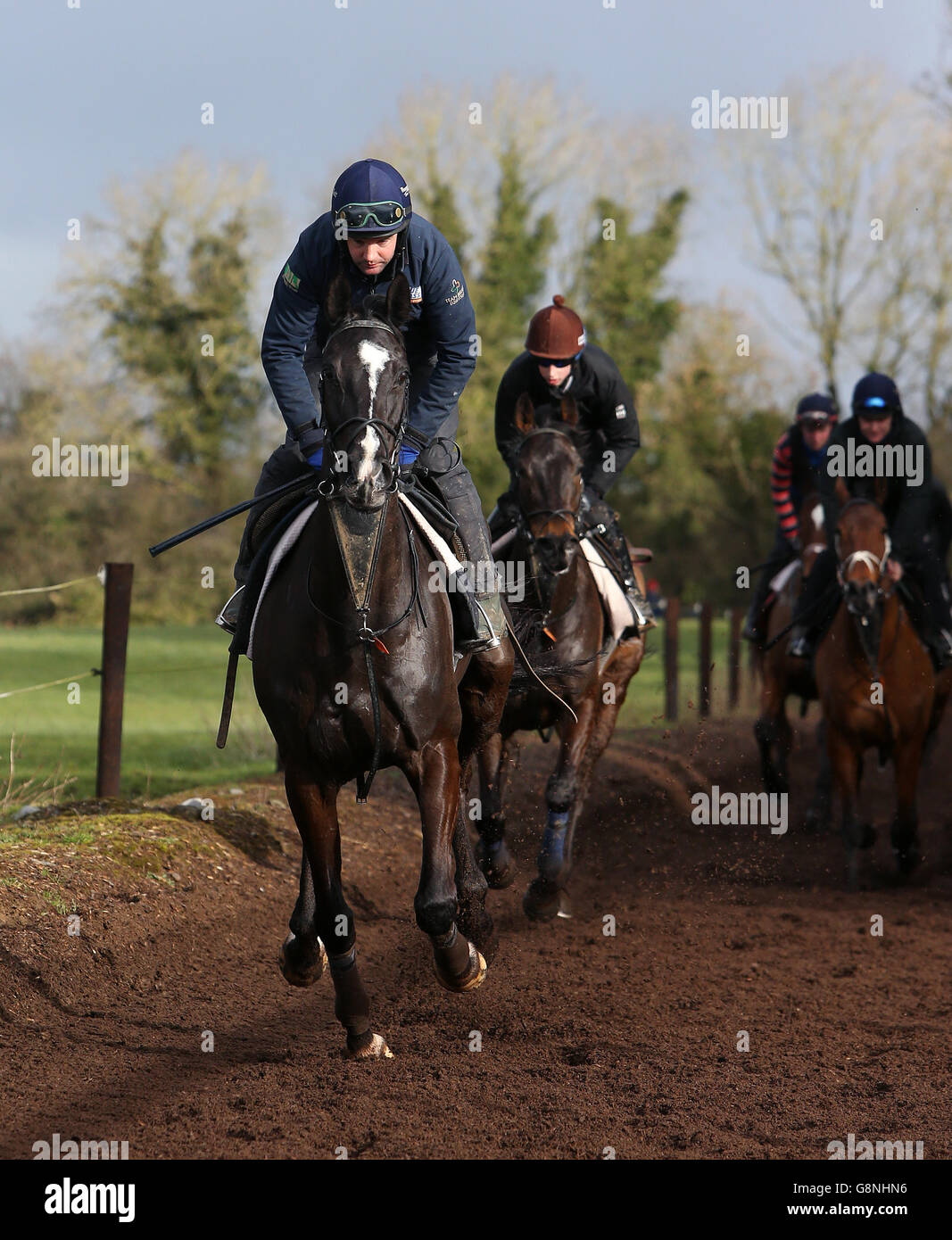Gordon elliotts stables on gallops hi-res stock photography and images ...