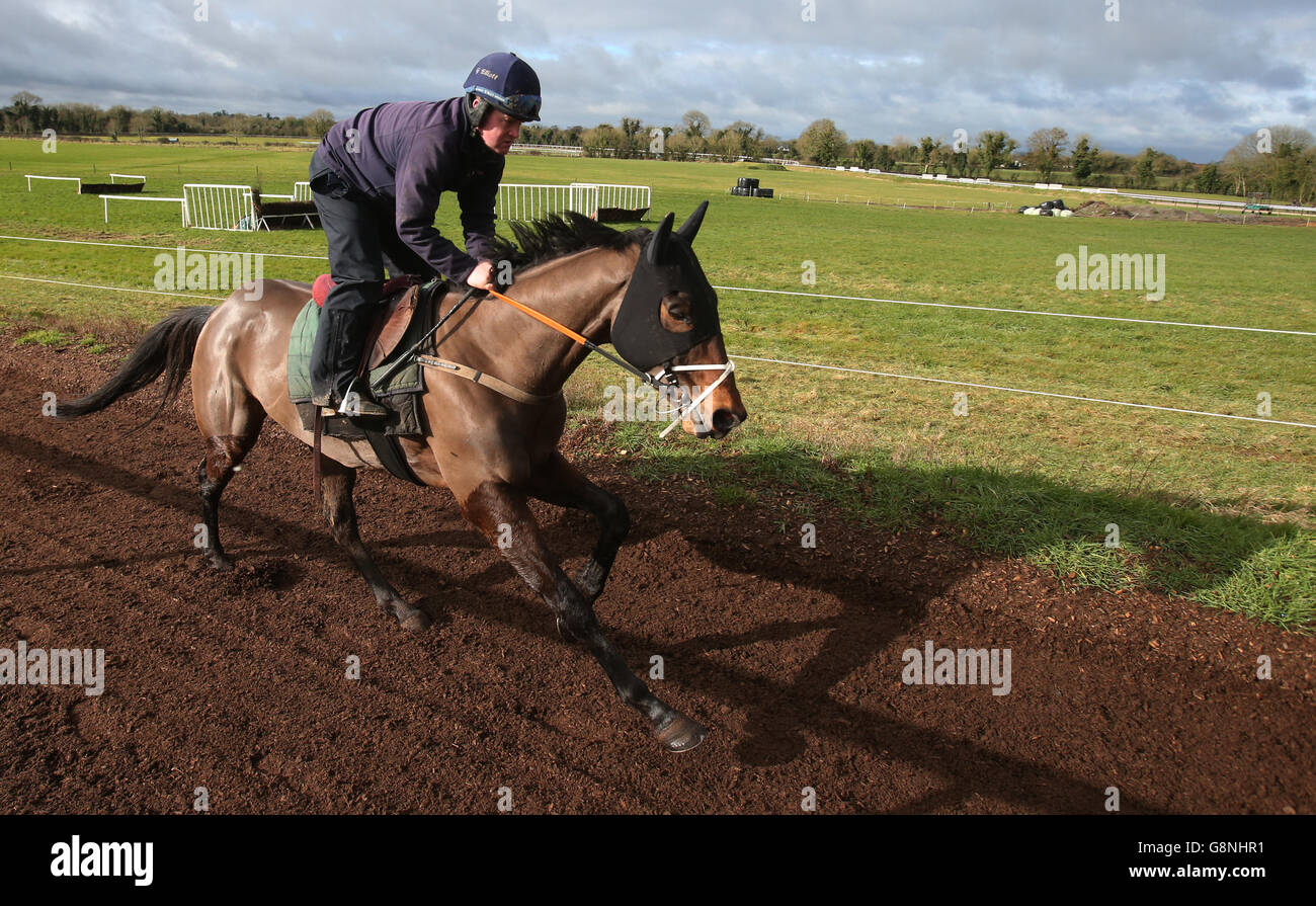 Gordon Elliott Stable Visit - Cullentra House Stock Photo - Alamy