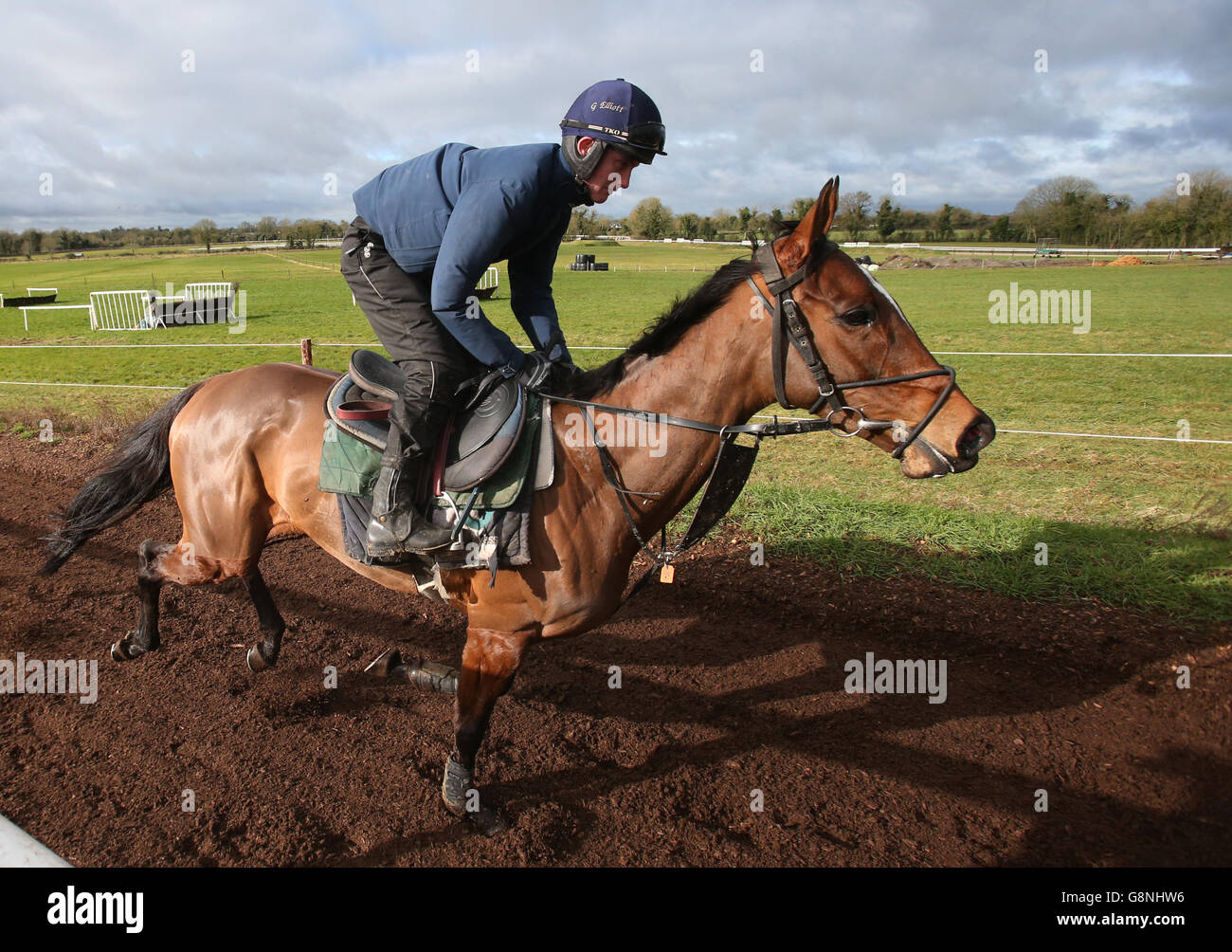 Gordon Elliott Stable Visit - Cullentra House Stock Photo - Alamy