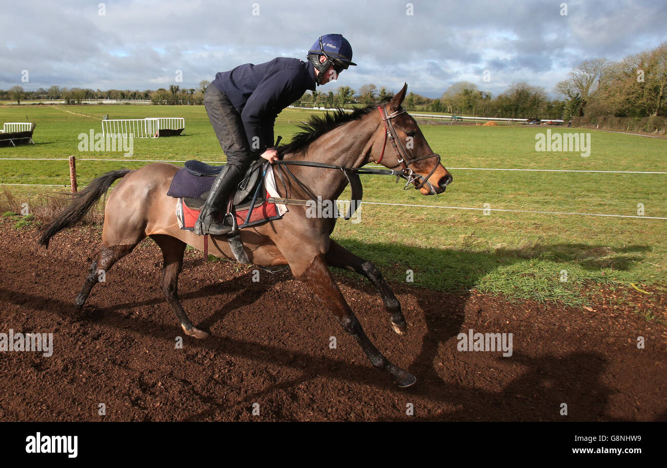 Gordon elliotts stables on gallops hi-res stock photography and images ...