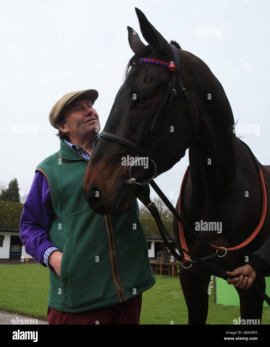 Nicky Henderson Stable Visit - Seven Barrows Stock Photo - Alamy