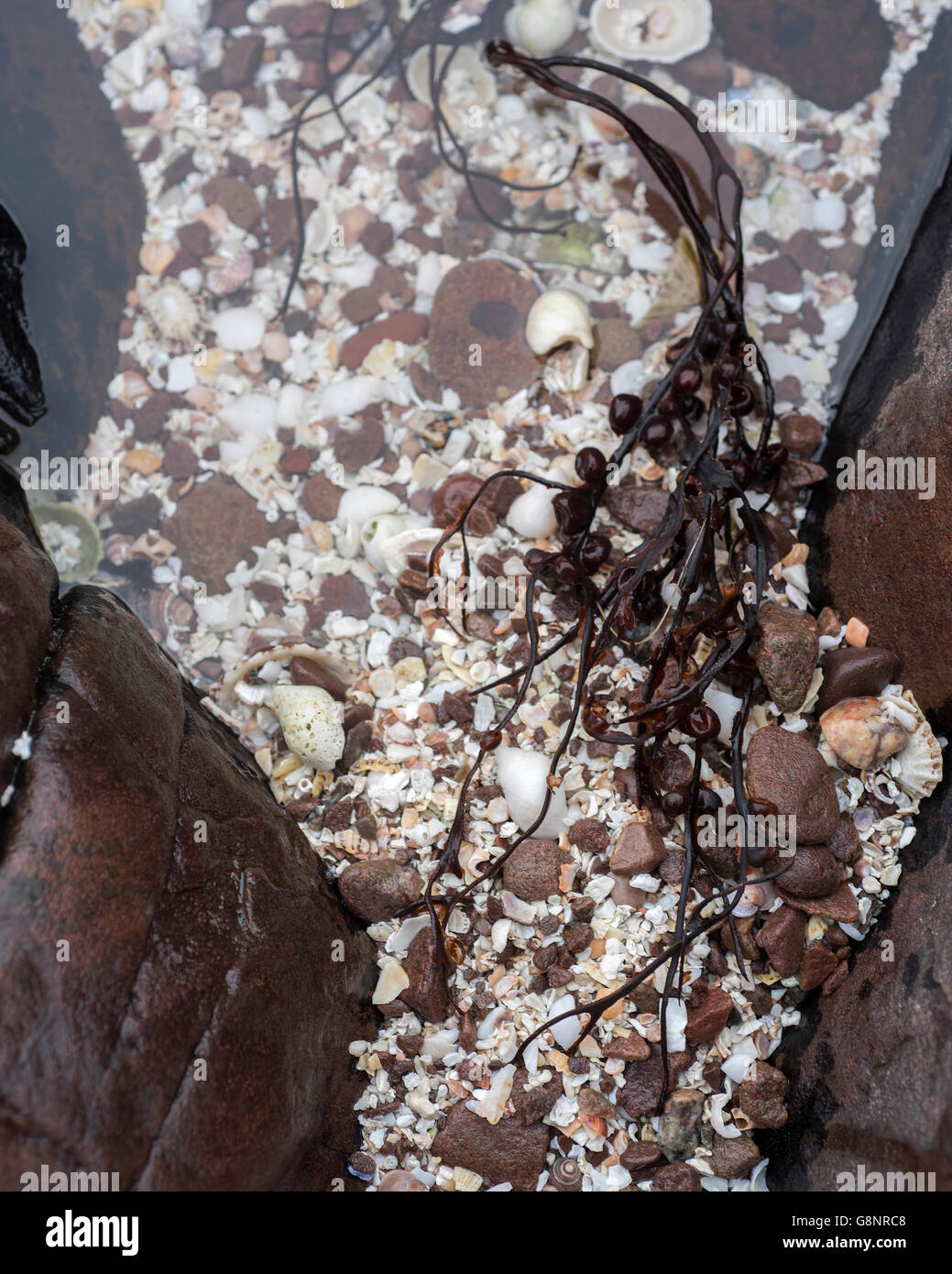 Inbetween rocks hi-res stock photography and images - Alamy