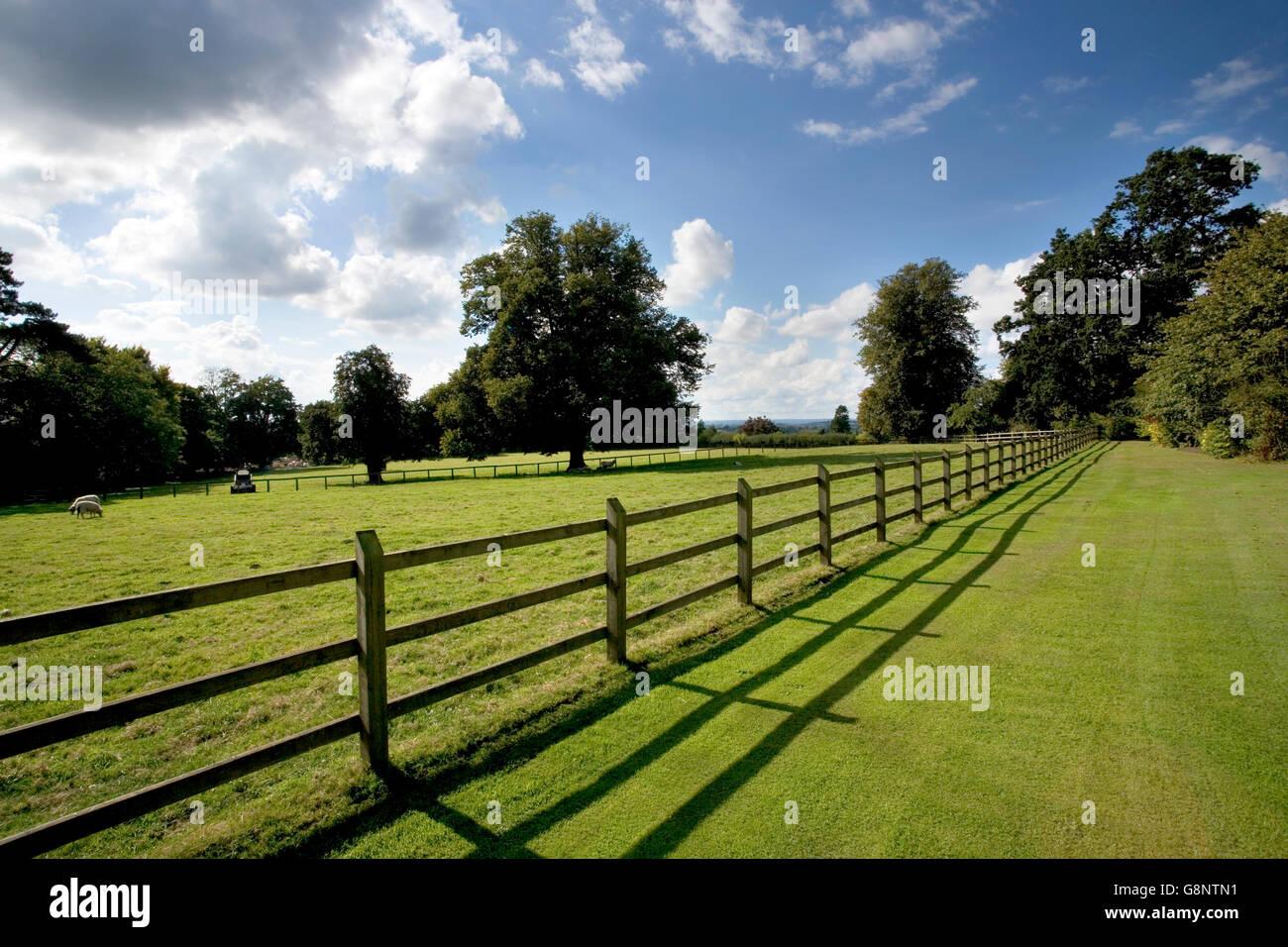 Wooden post and rail fencing around a tidy empty paddock Stock Photo ...