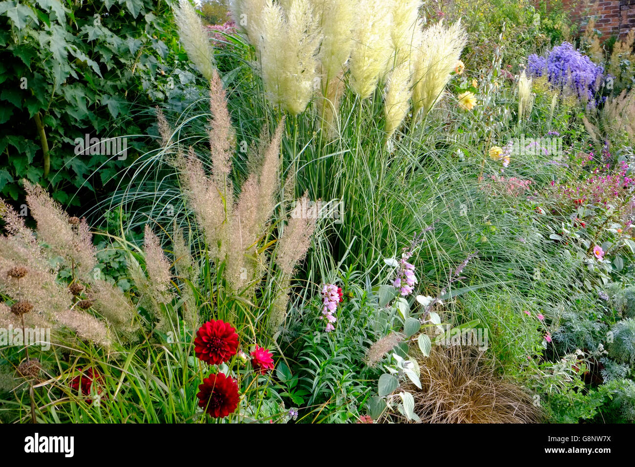Garden border september hi-res stock photography and images - Alamy