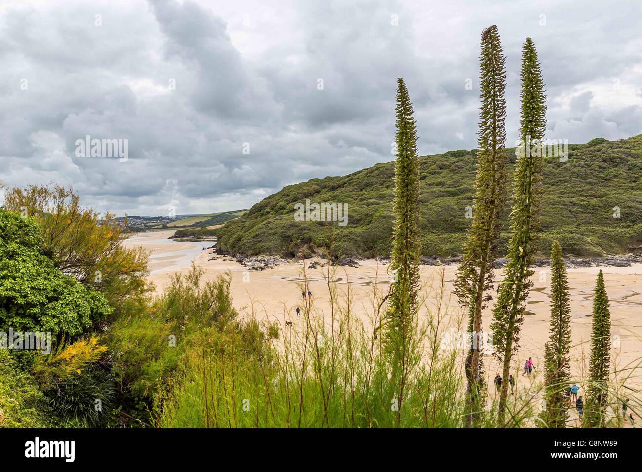 A high level view of the river Gannel estuary, Crantock Beach, near ...