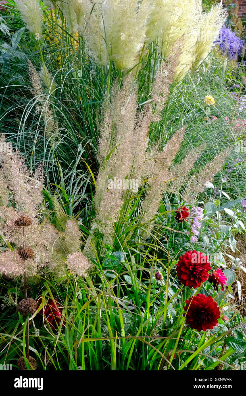 Garden border september hi-res stock photography and images - Alamy