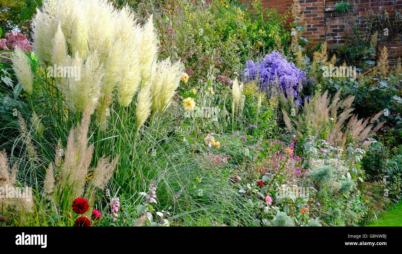Summer flower garden border hi-res stock photography and images - Alamy