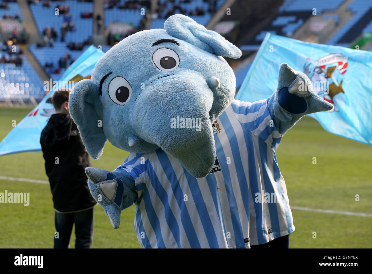Coventry city club mascot sky blue sam hi-res stock photography and ...