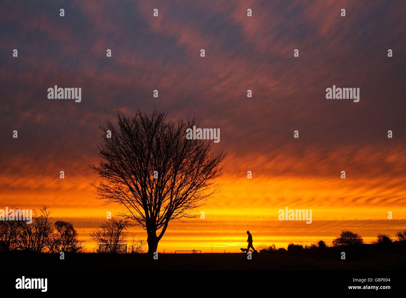 Spring weather hi-res stock photography and images - Alamy