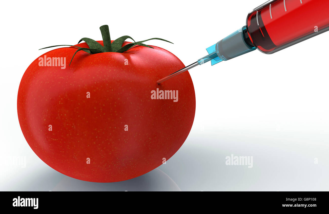 tomato injected with a syringe isolated on white with clipping path, 3d ...