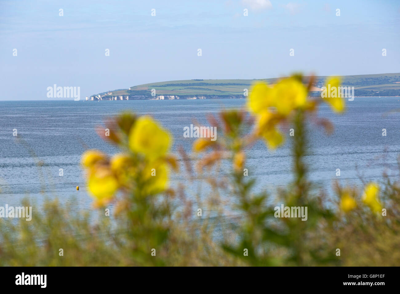 views of Old Harry Rocks and the Purbecks coastline from Bournemouth ...