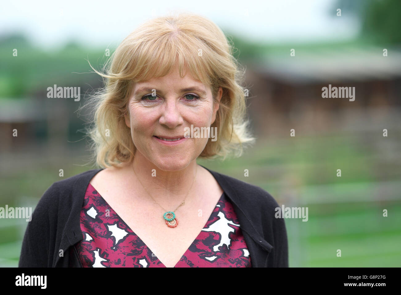 Hannah Rothschild author and writer 2016 Stock Photo - Alamy