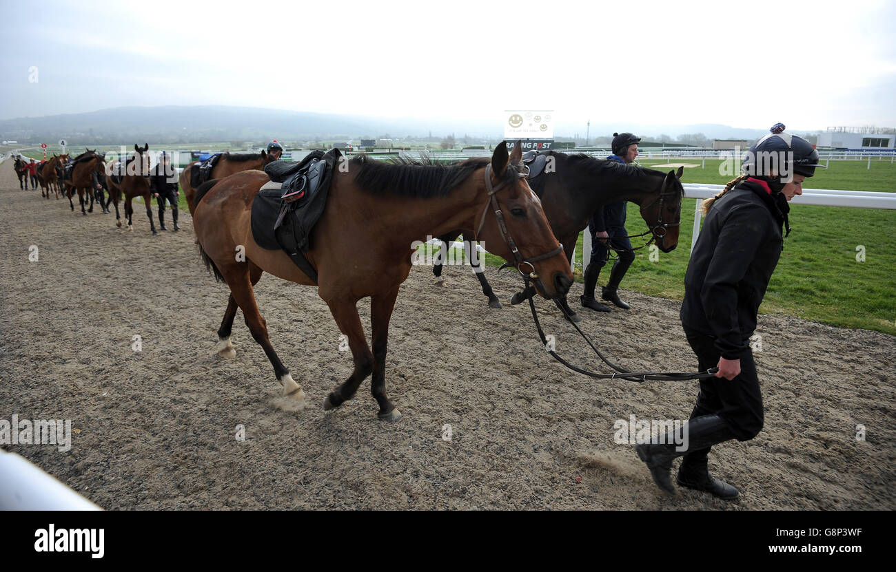 Horses make their way back to the stables after a morning gallops ...