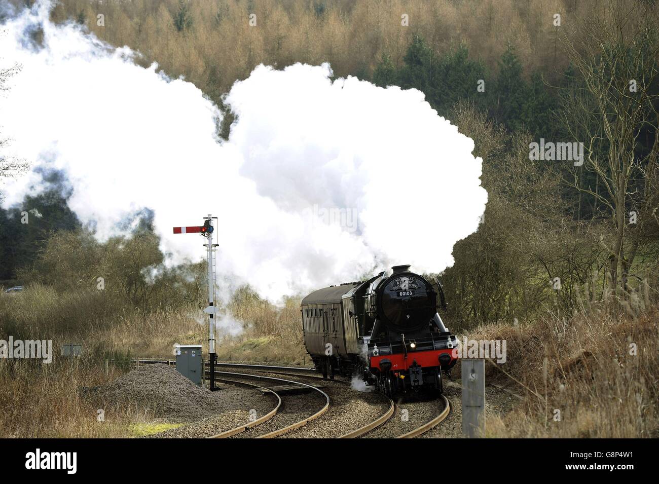 The Flying Scotsman, painted in its traditional colours, passes through ...