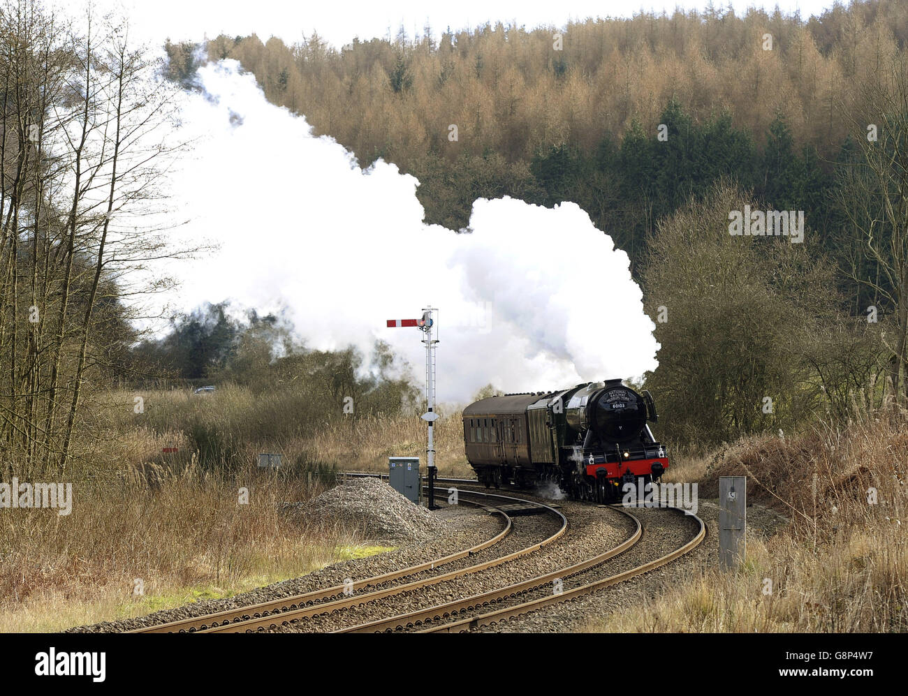 The Flying Scotsman, painted in its traditional colours, passes through ...