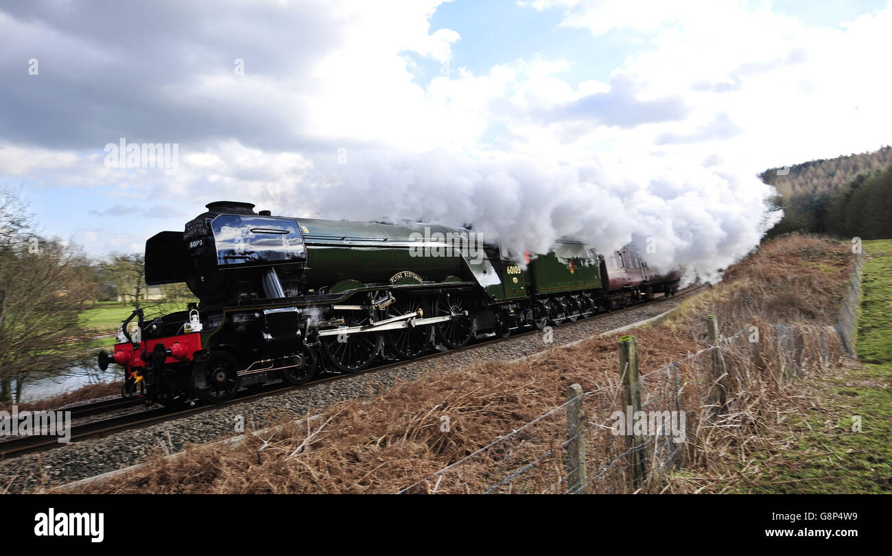 Rail scotsman flyingscots hi-res stock photography and images - Alamy