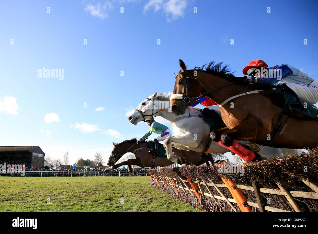 Razzle dazzle horse hi-res stock photography and images - Alamy