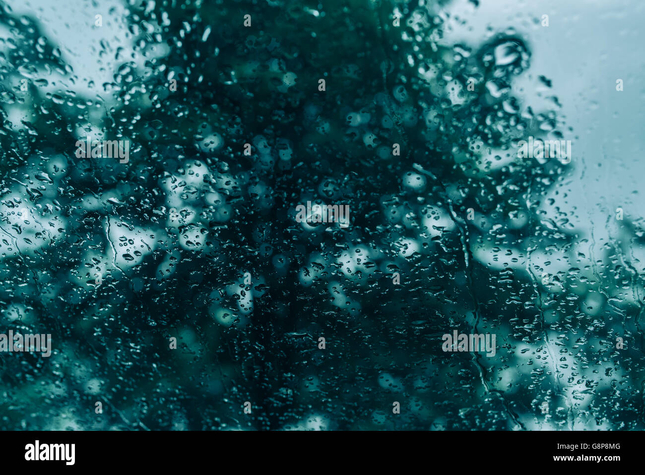 Raindrops on window pane, blur treetop in background, selective focus Stock Photo - Alamy