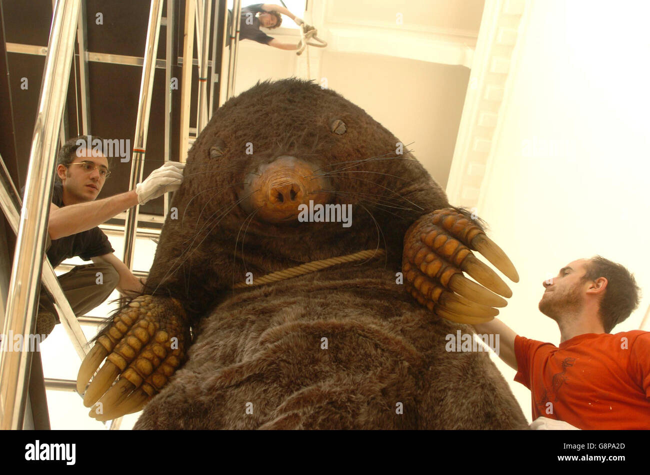ARTS Dion 5 Stock Photo - Alamy