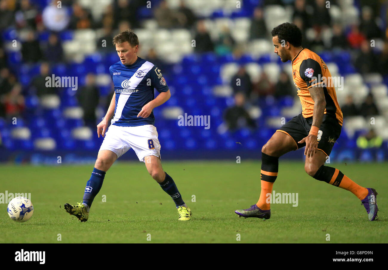 Birmingham City's Stephen Gleeson and Hull City's Tom Huddlestone ...