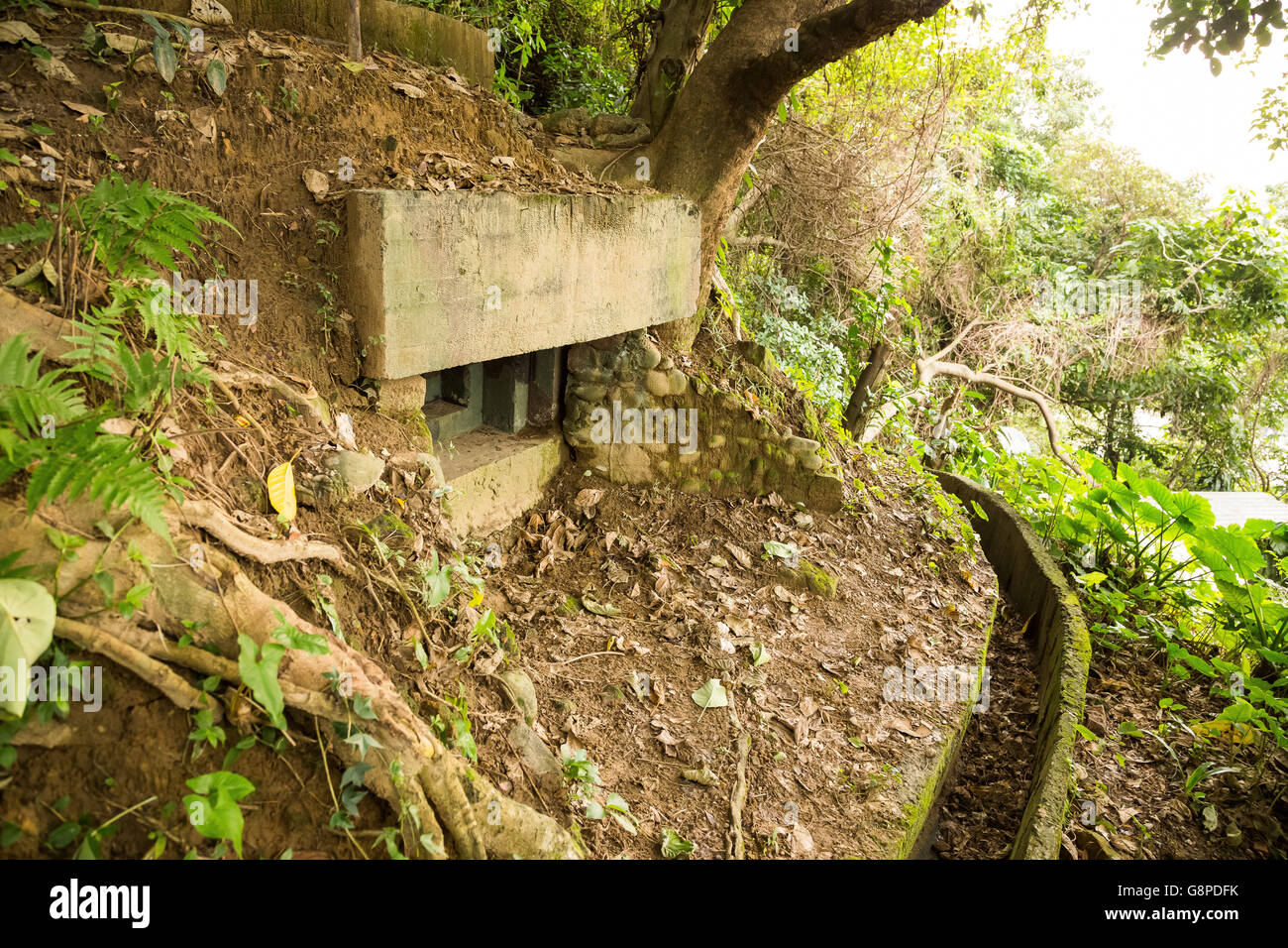 Yuanshan Morning Trails Stock Photo - Alamy