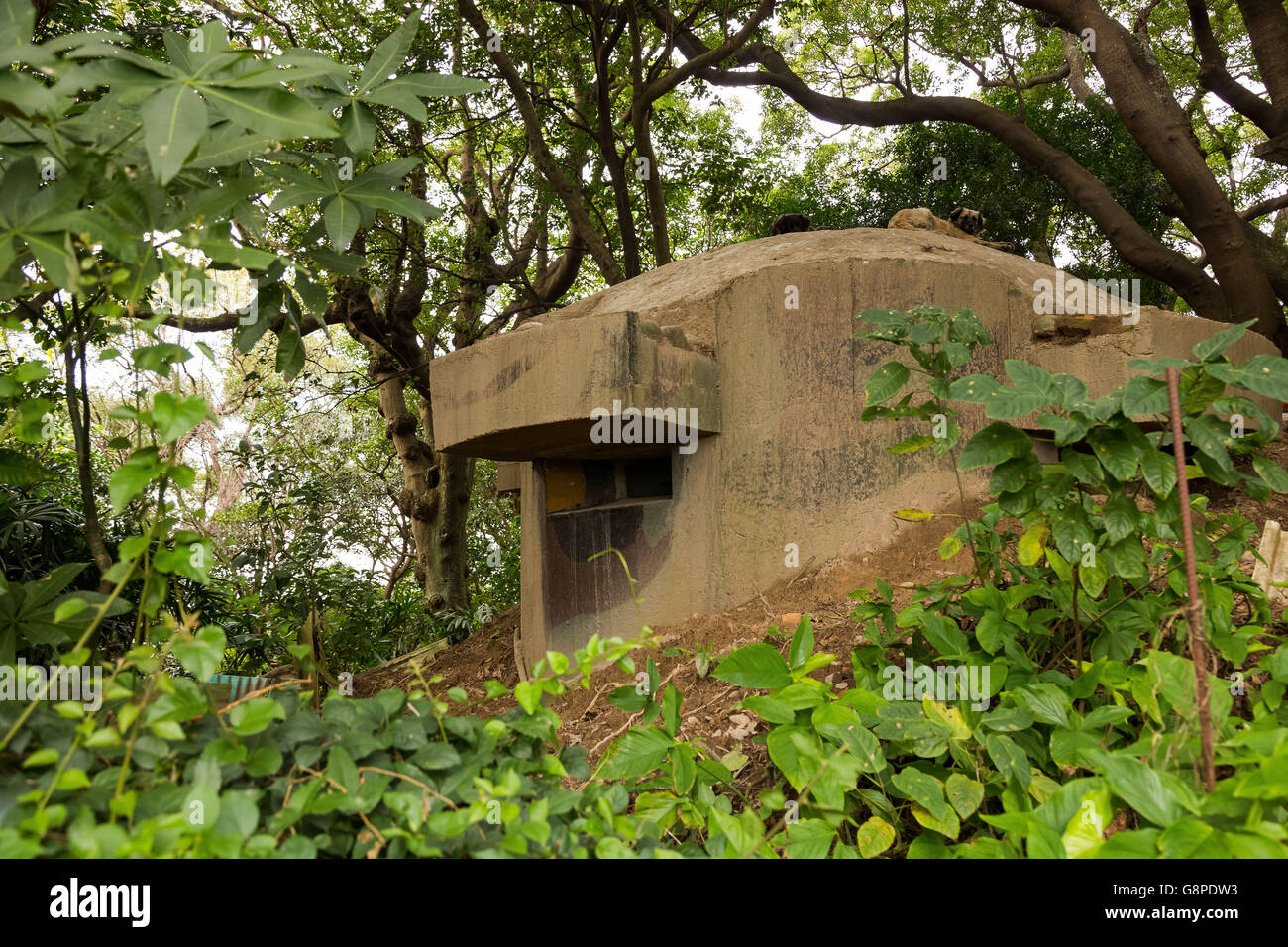 Yuanshan Morning Trails Stock Photo - Alamy