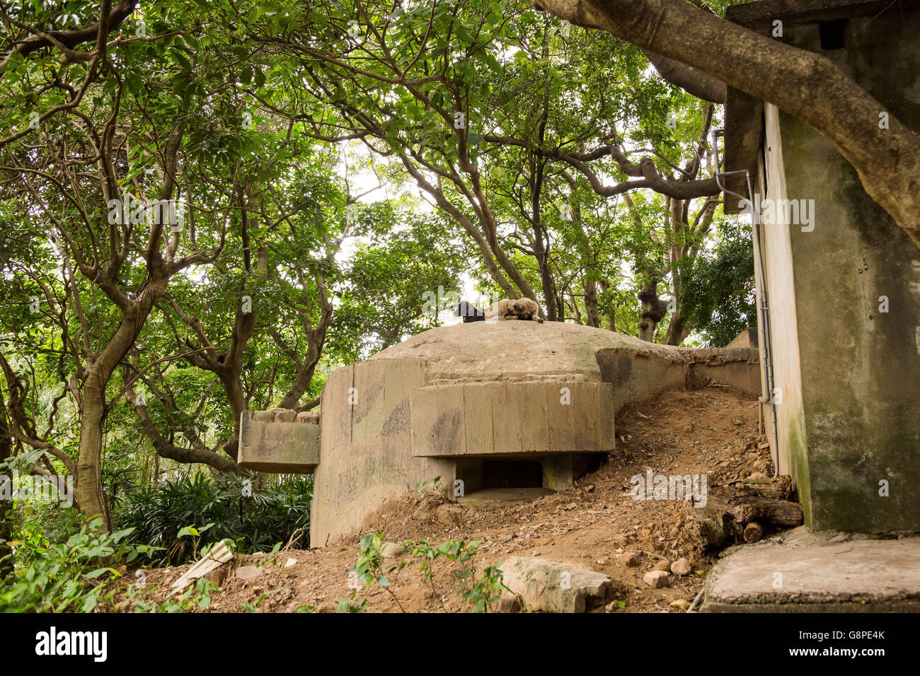 Yuanshan district taipei hi-res stock photography and images - Alamy