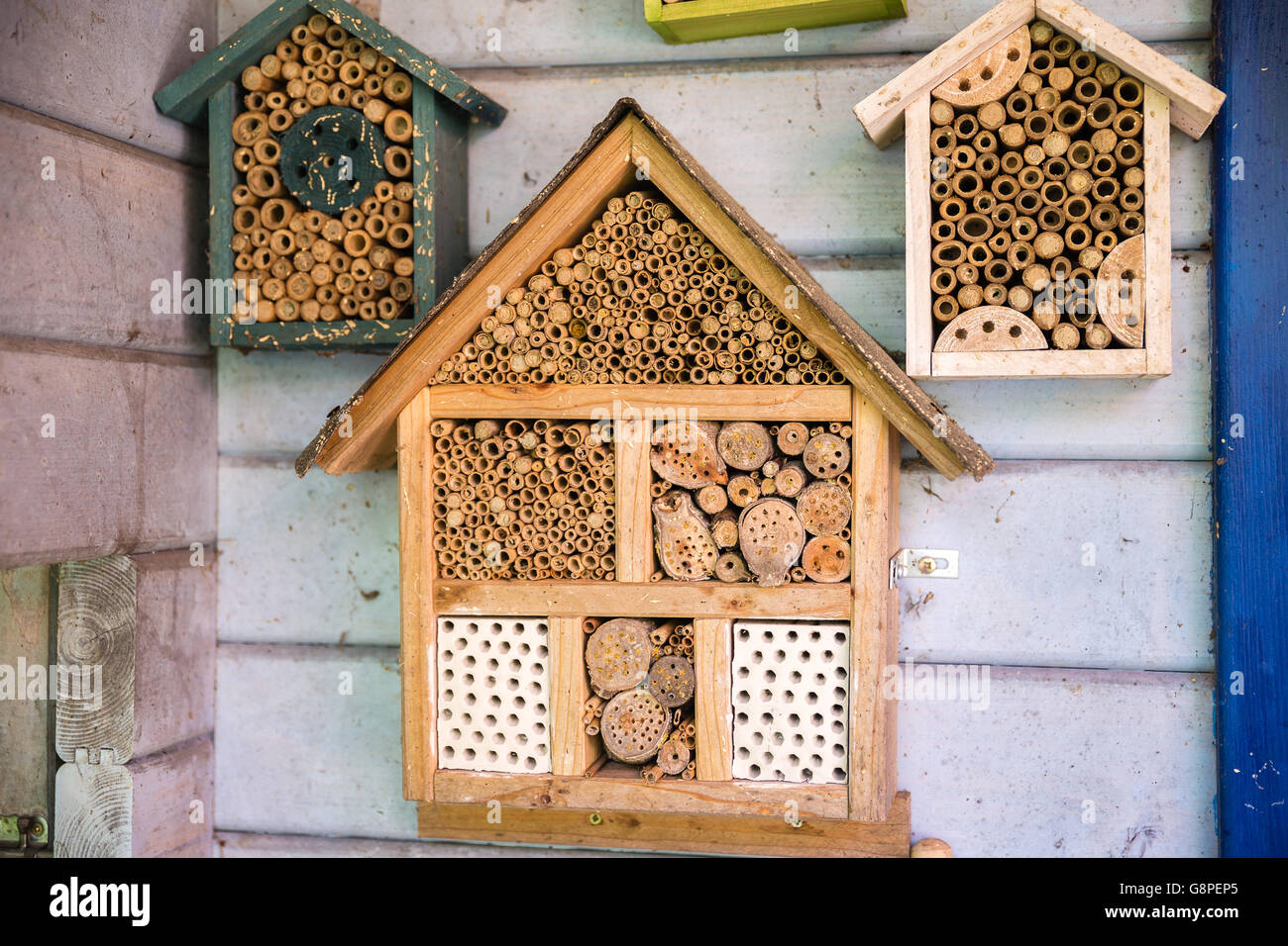 wooden lacewig house for bees Stock Photo - Alamy