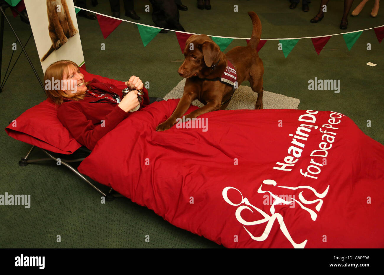 Caroline ayres hi-res stock photography and images - Alamy