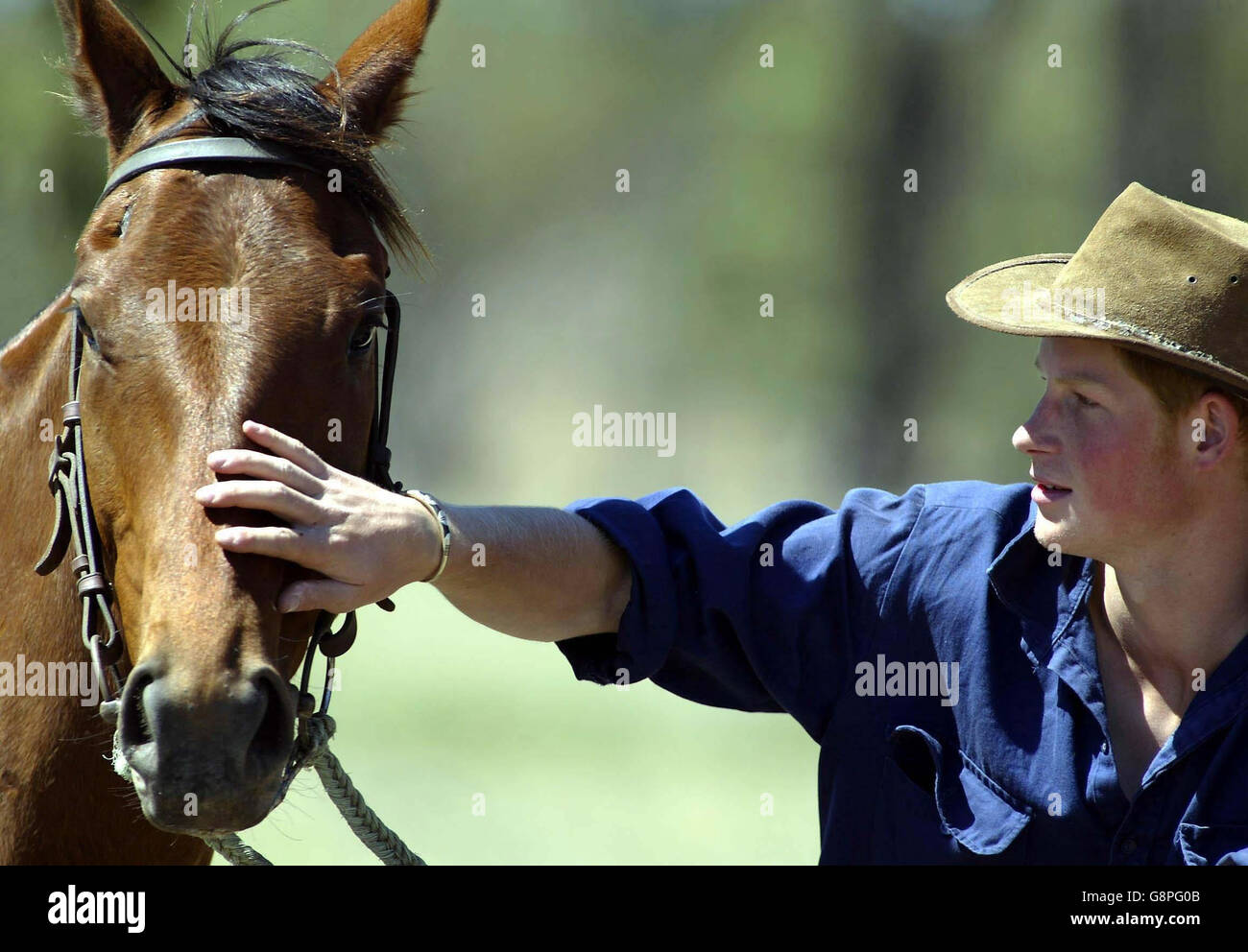 Royal Harry High Resolution Stock Photography and Images - Alamy
