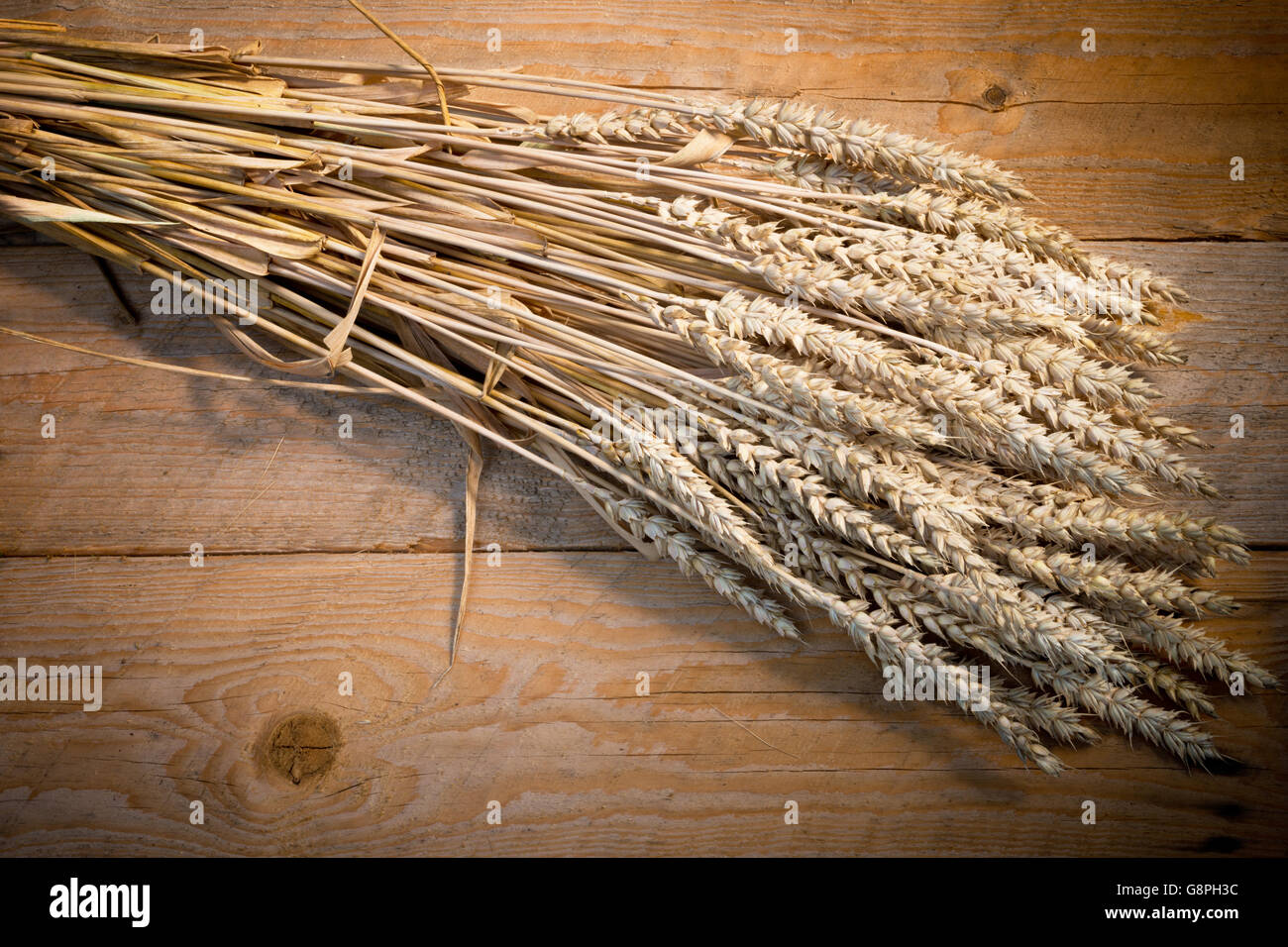 Sheaf of corn hi-res stock photography and images - Alamy
