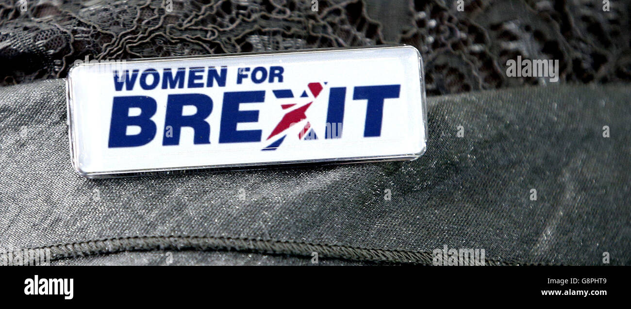 Badges at the UKIP Spring Conference in Llandudno, North Wales Stock ...