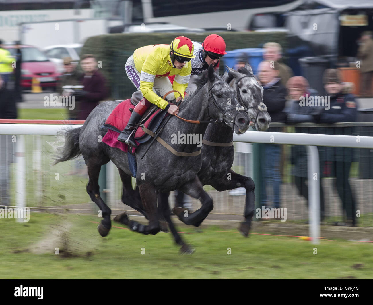 Peits hi-res stock photography and images - Alamy